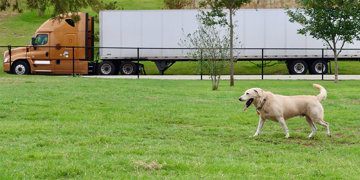 Pet-Friendly Truck Stops and Travel Centers - Updated For 2023